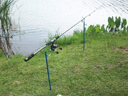 Carp Stand – Rochester Tackle